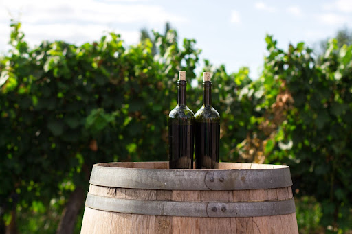 How wine is produced? A Step-by-Step Guide - Iltec